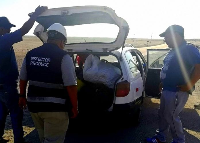 Recurso chanque es devuelto al mar tras incautación