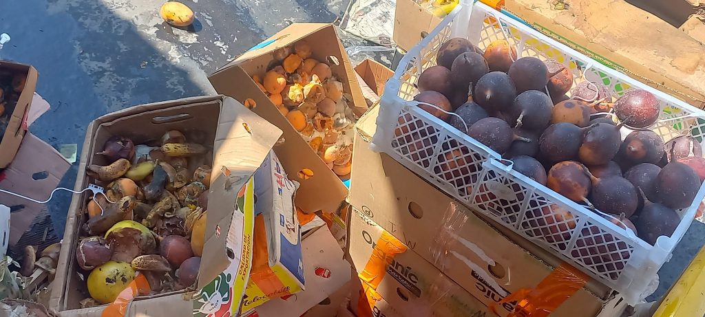 ¡Casi todo llegó podrido!